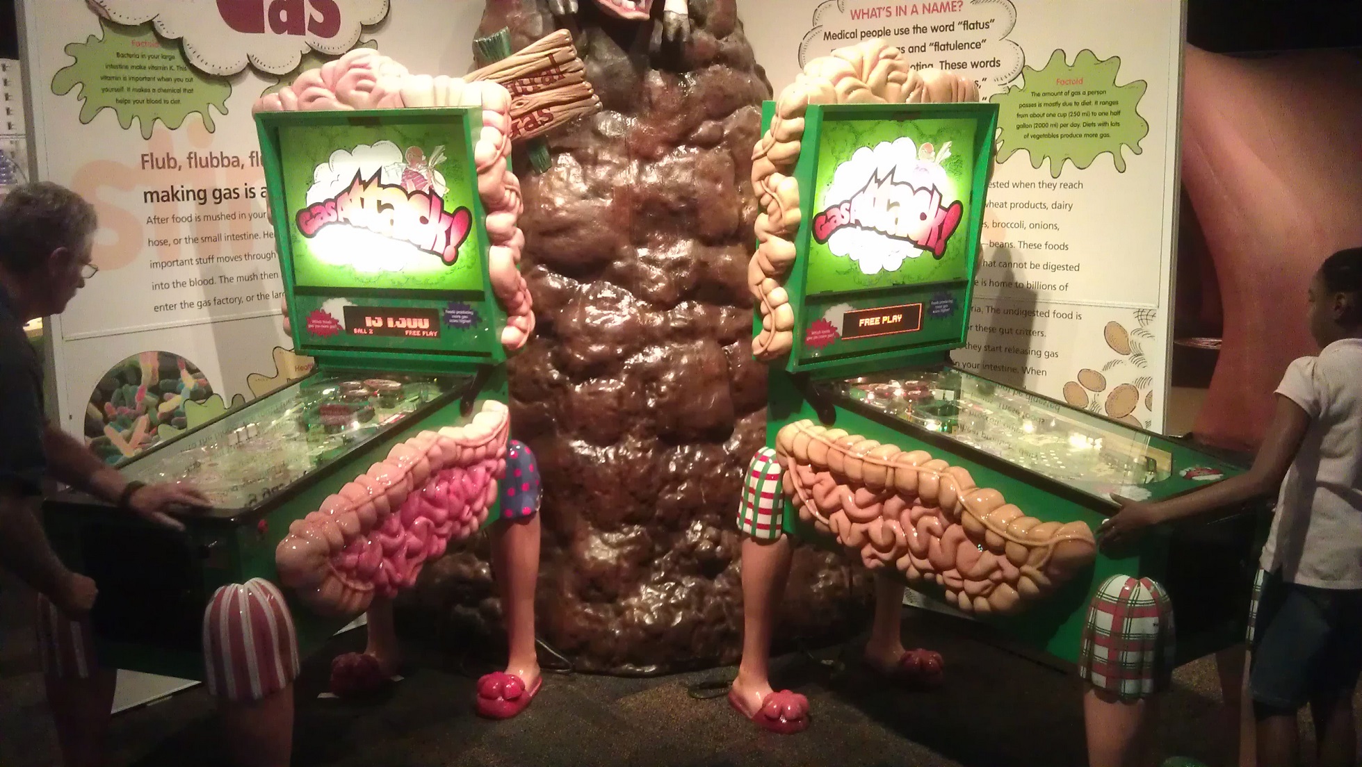 Kris has a Gas Attack - Firebird Pinball